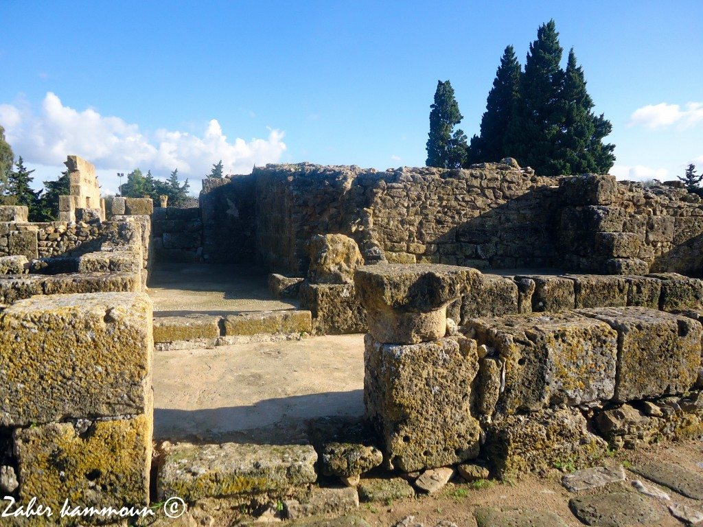 Zaher Kammoun » » Le site archéologique d’Utique