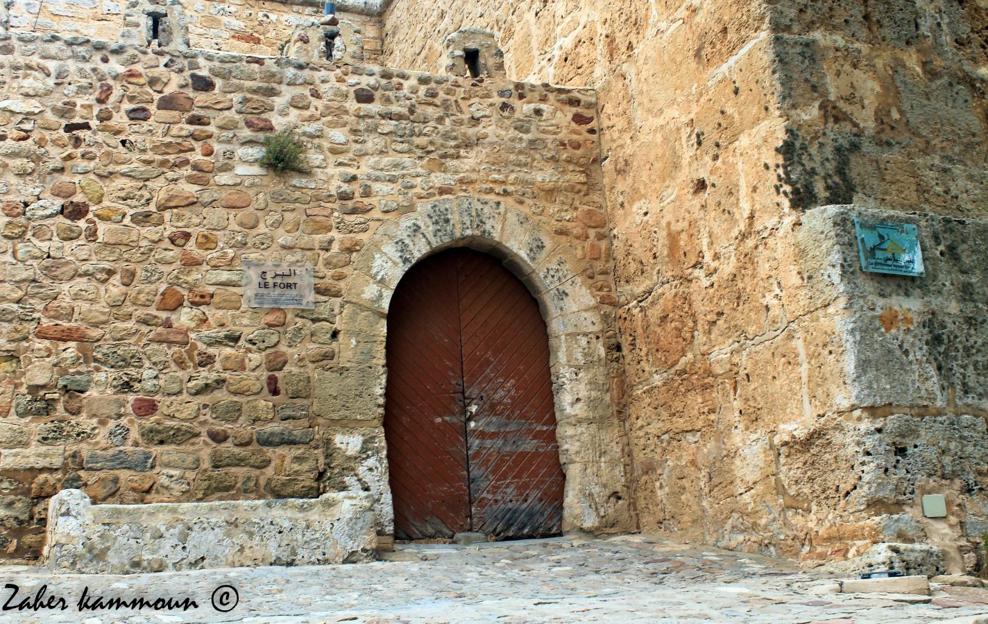 Zaher Kammoun » » Le fort de Kélibia برج قليبية