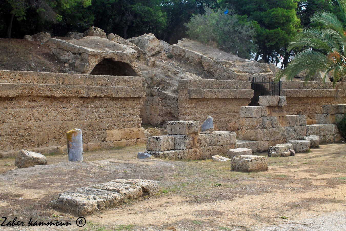 Zaher Kammoun » » Amphithéâtre de Carthage