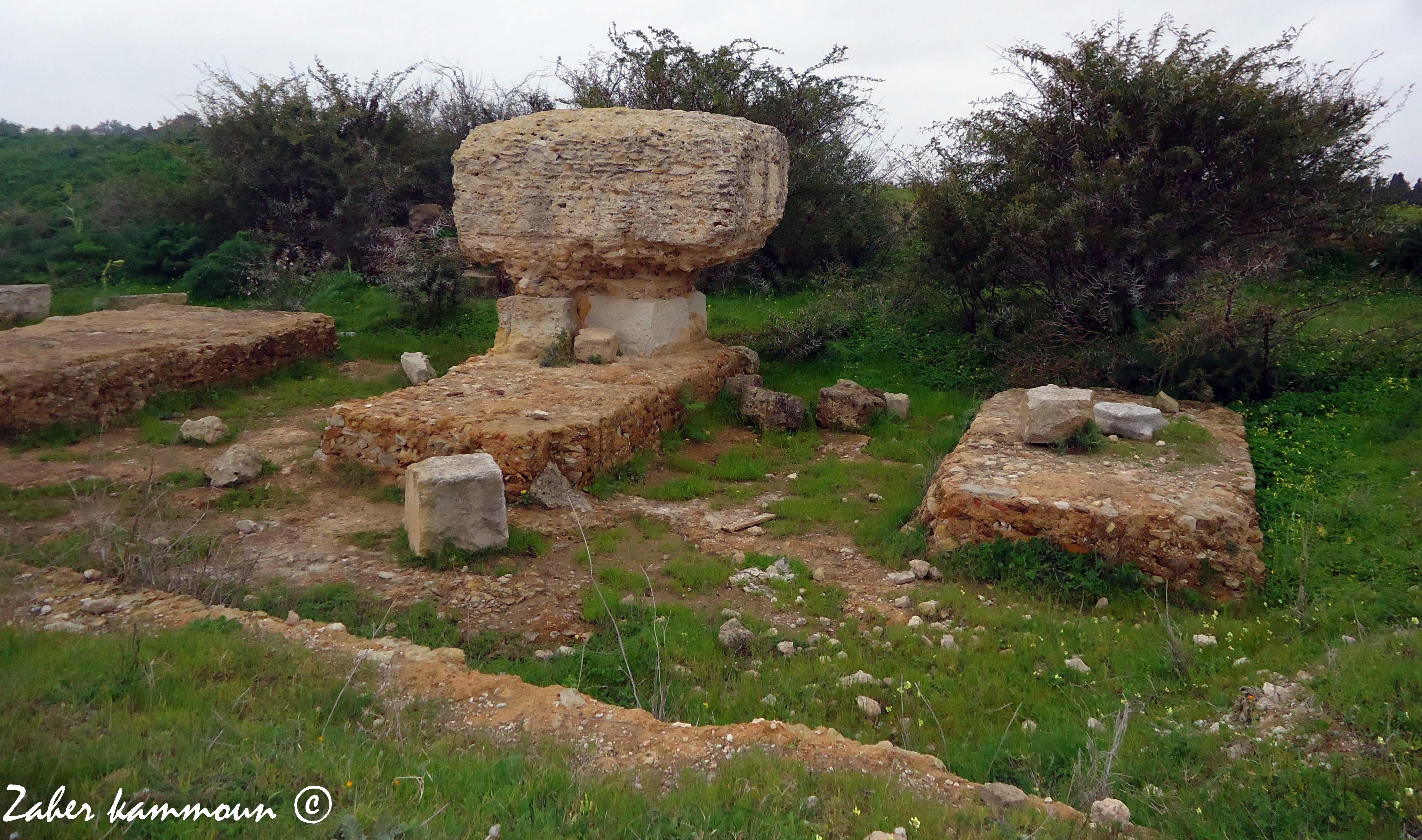 Zaher Kammoun » » L’odéon de Carthage