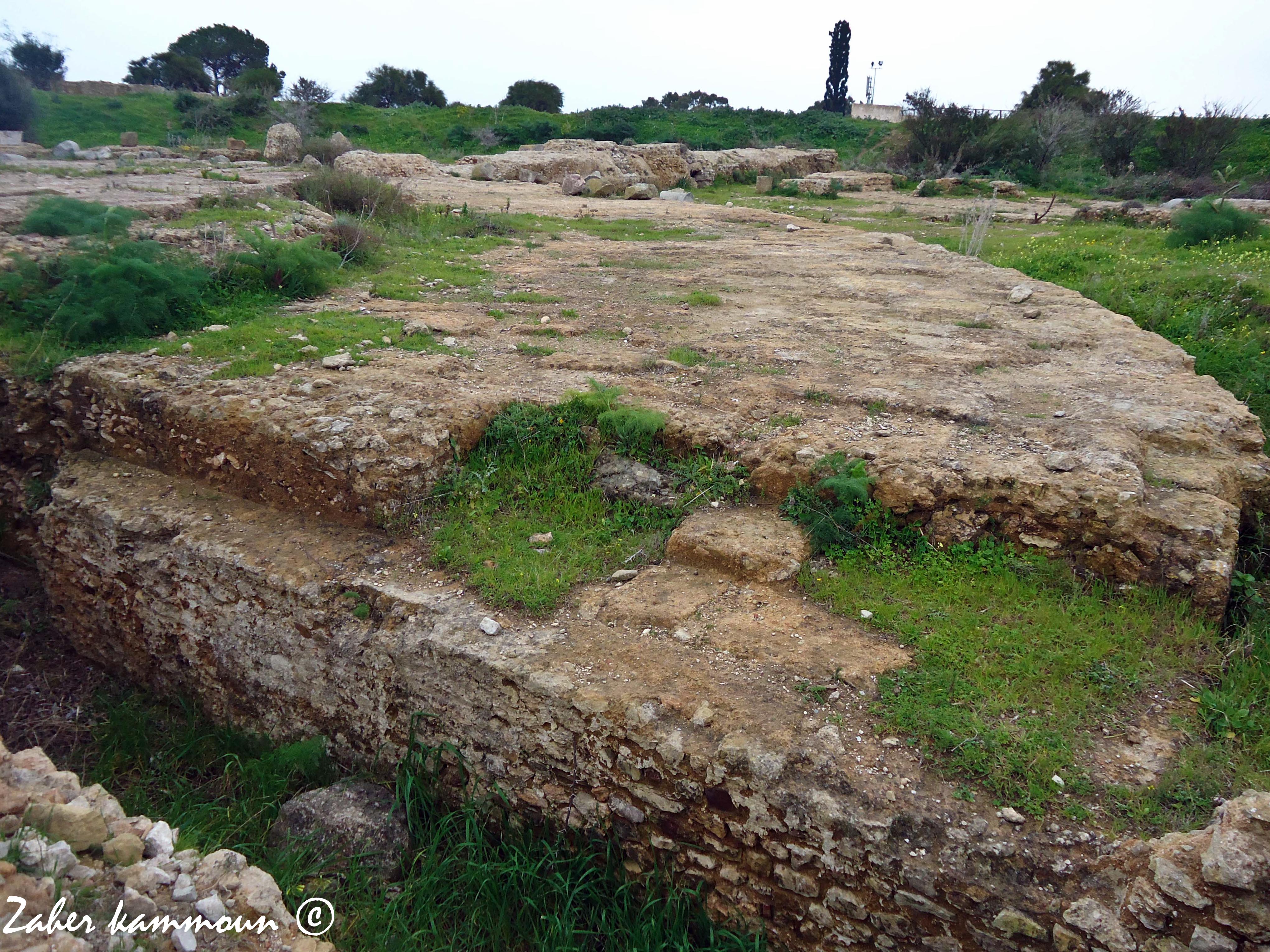 Zaher Kammoun » » L’odéon de Carthage