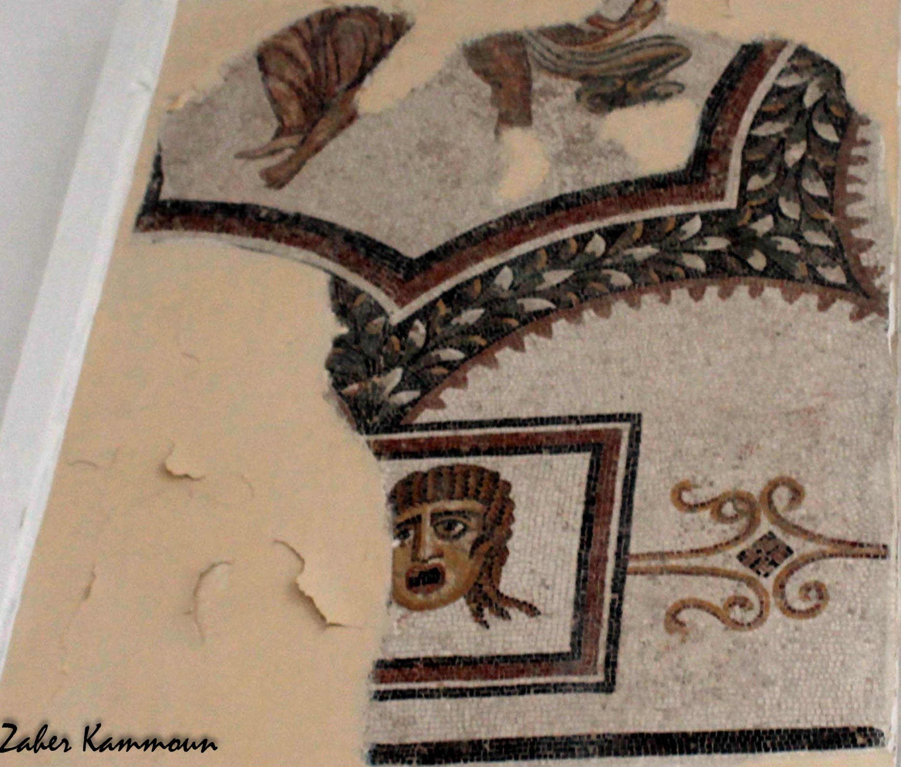 Zaher Kammoun » » Les mosaïques d’Acholla (Botria) à Sfax