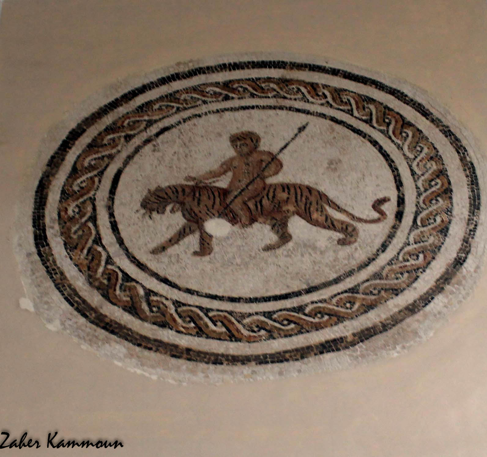 Zaher Kammoun » » Les mosaïques d’Acholla (Botria) à Sfax