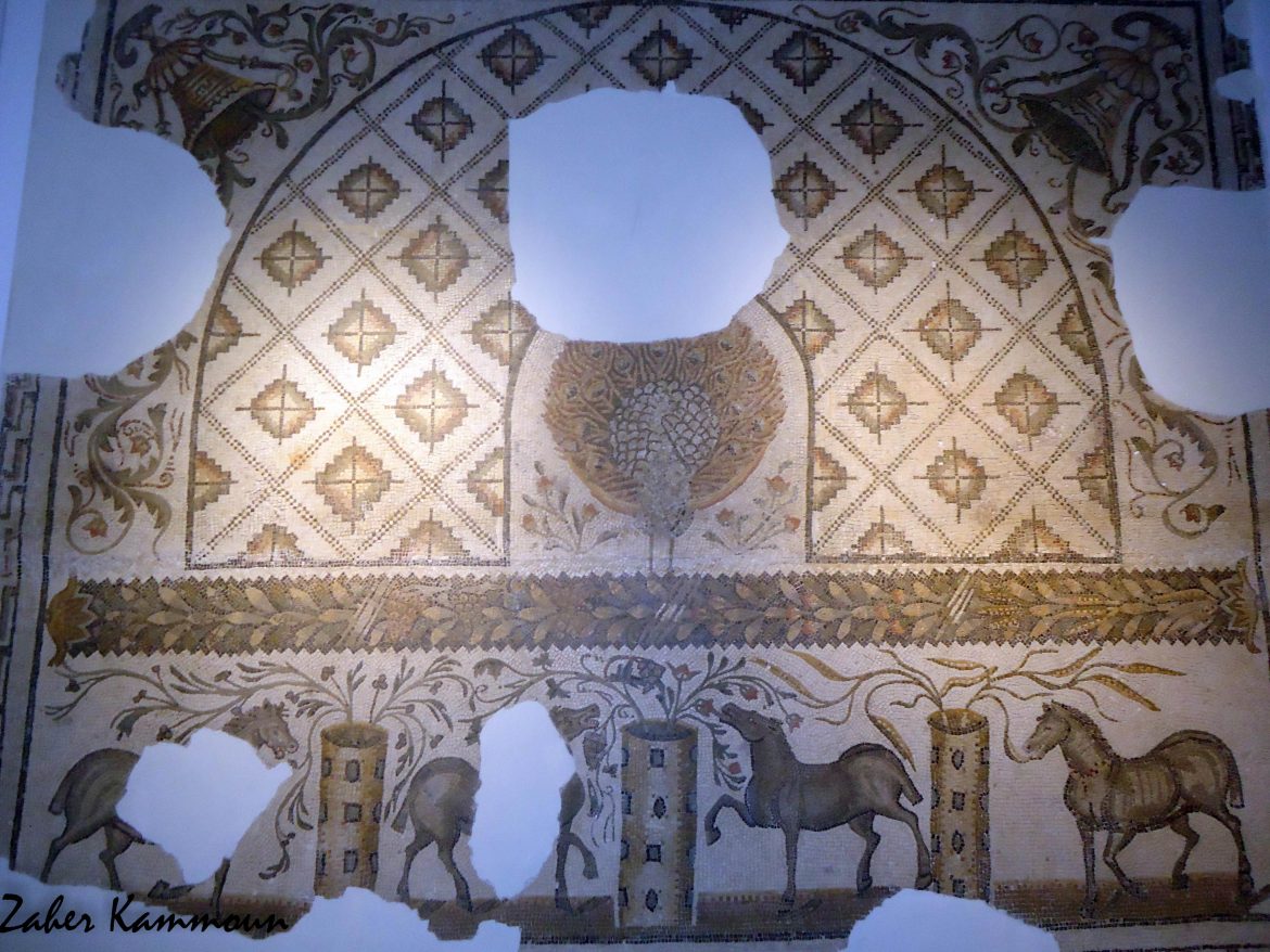 Zaher Kammoun » » La mosaïque du paon et des chevaux de Carthage