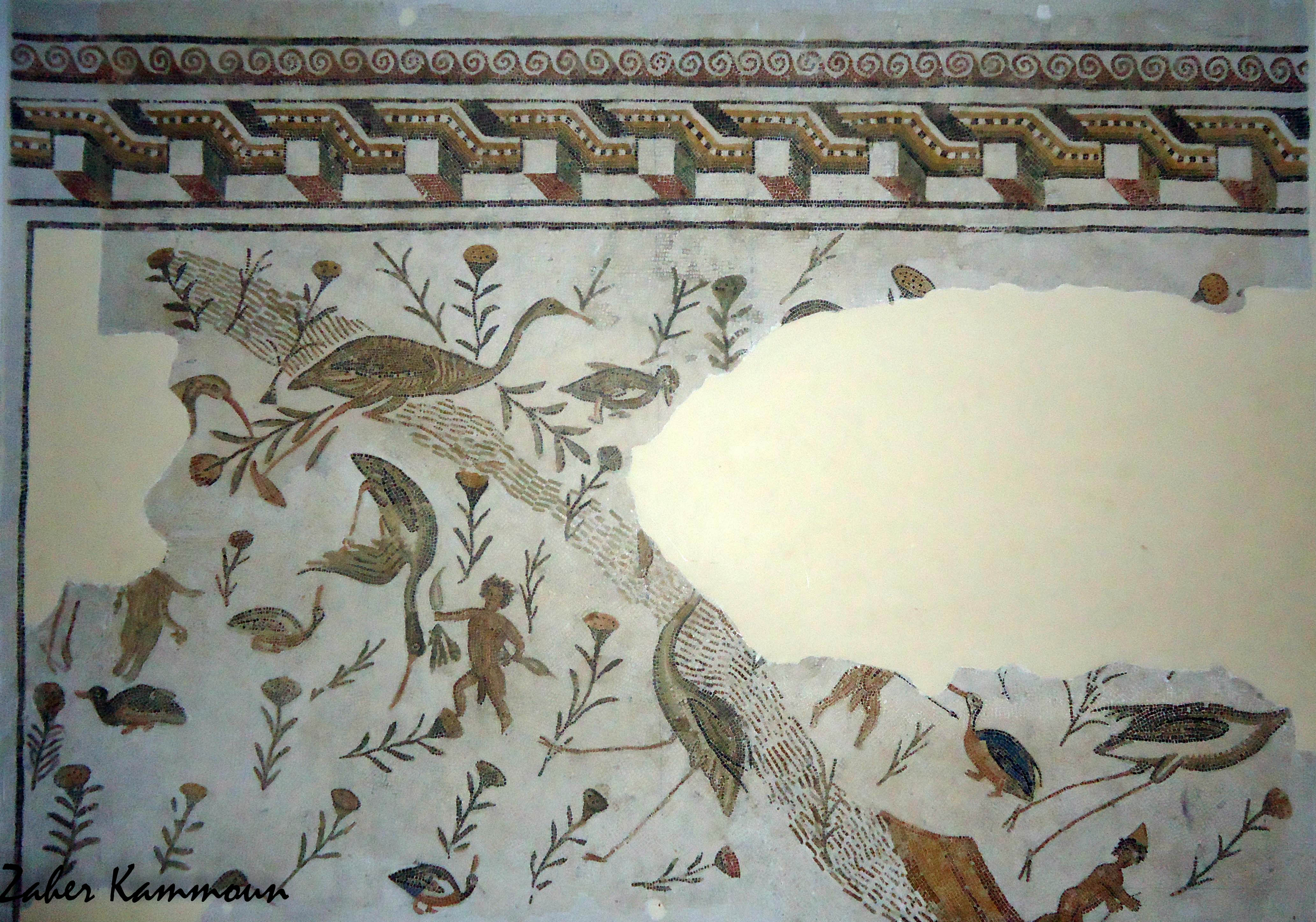 Zaher Kammoun » » Les paysages nilotiques dans la mosaïque africaine de ...