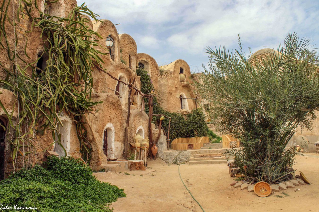 Zaher Kammoun » » Médenine مدنين