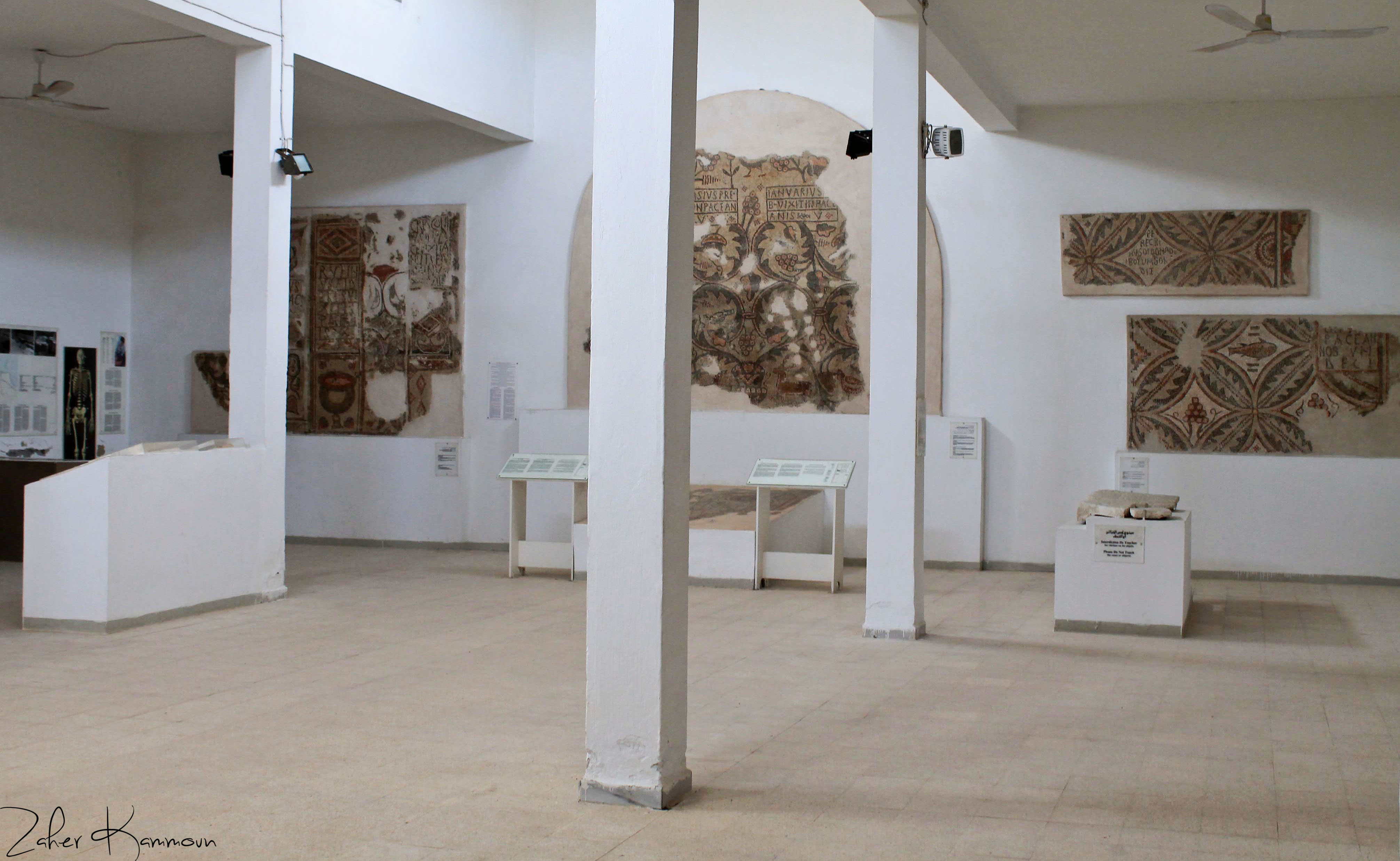 Zaher Kammoun » » Musée Lamta (15)