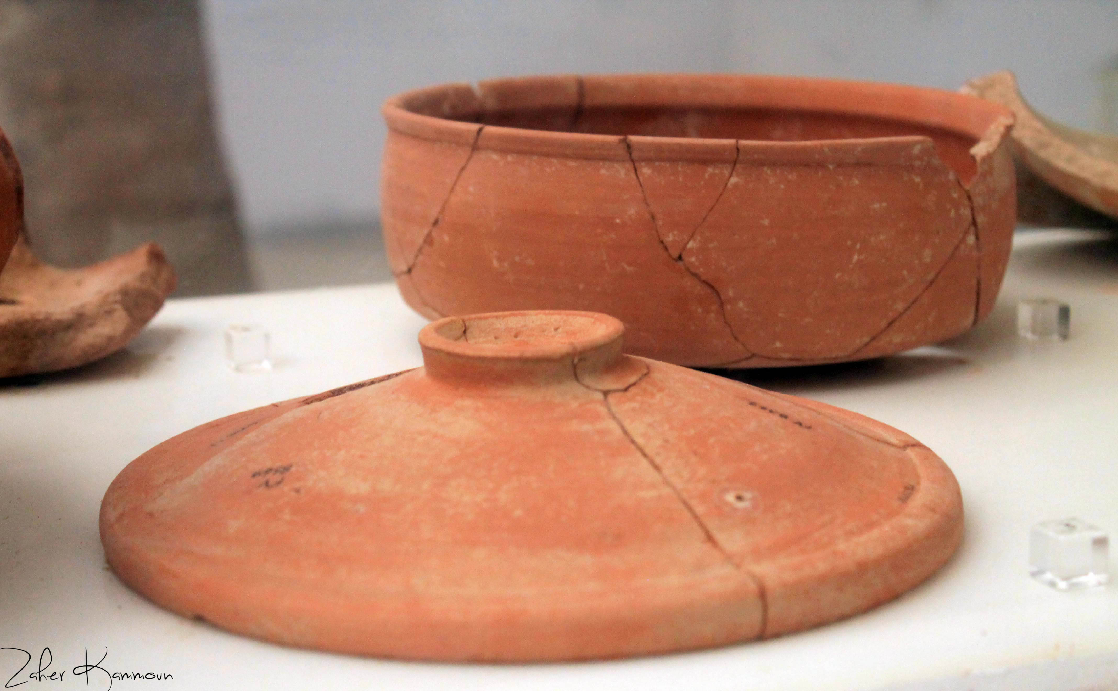 Zaher Kammoun » » Musée Lamta (58)