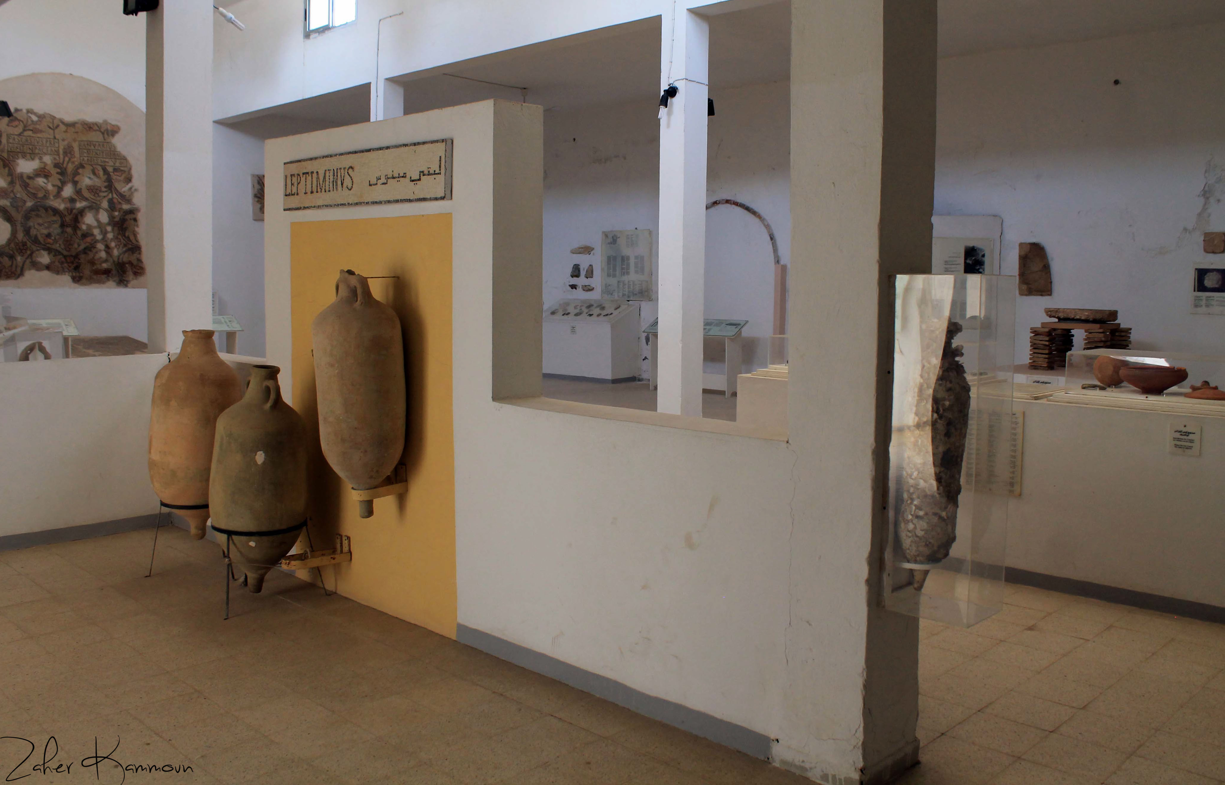 Zaher Kammoun » » Musée Lamta (72)