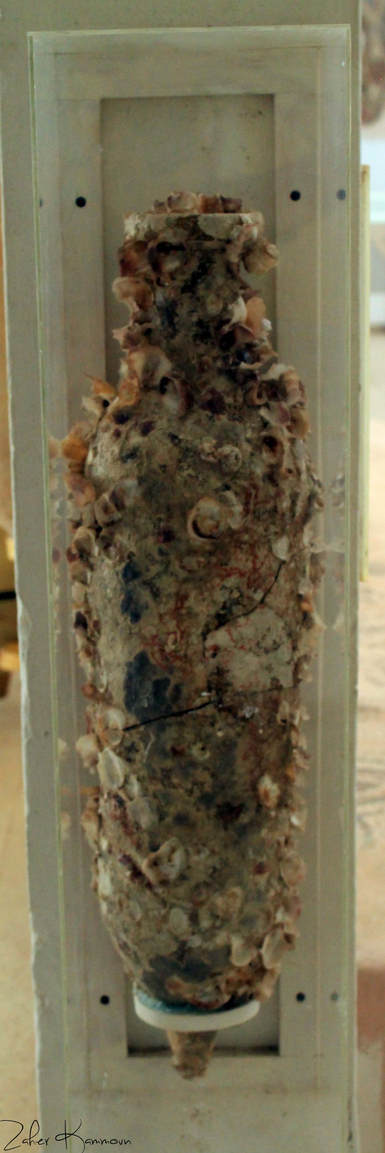 Zaher Kammoun » » Musée Lamta (73)