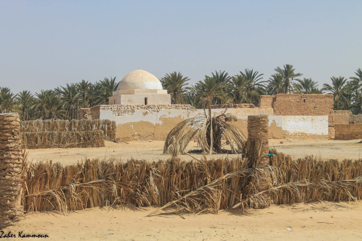 Zaher Kammoun » » Kébili et ses environs