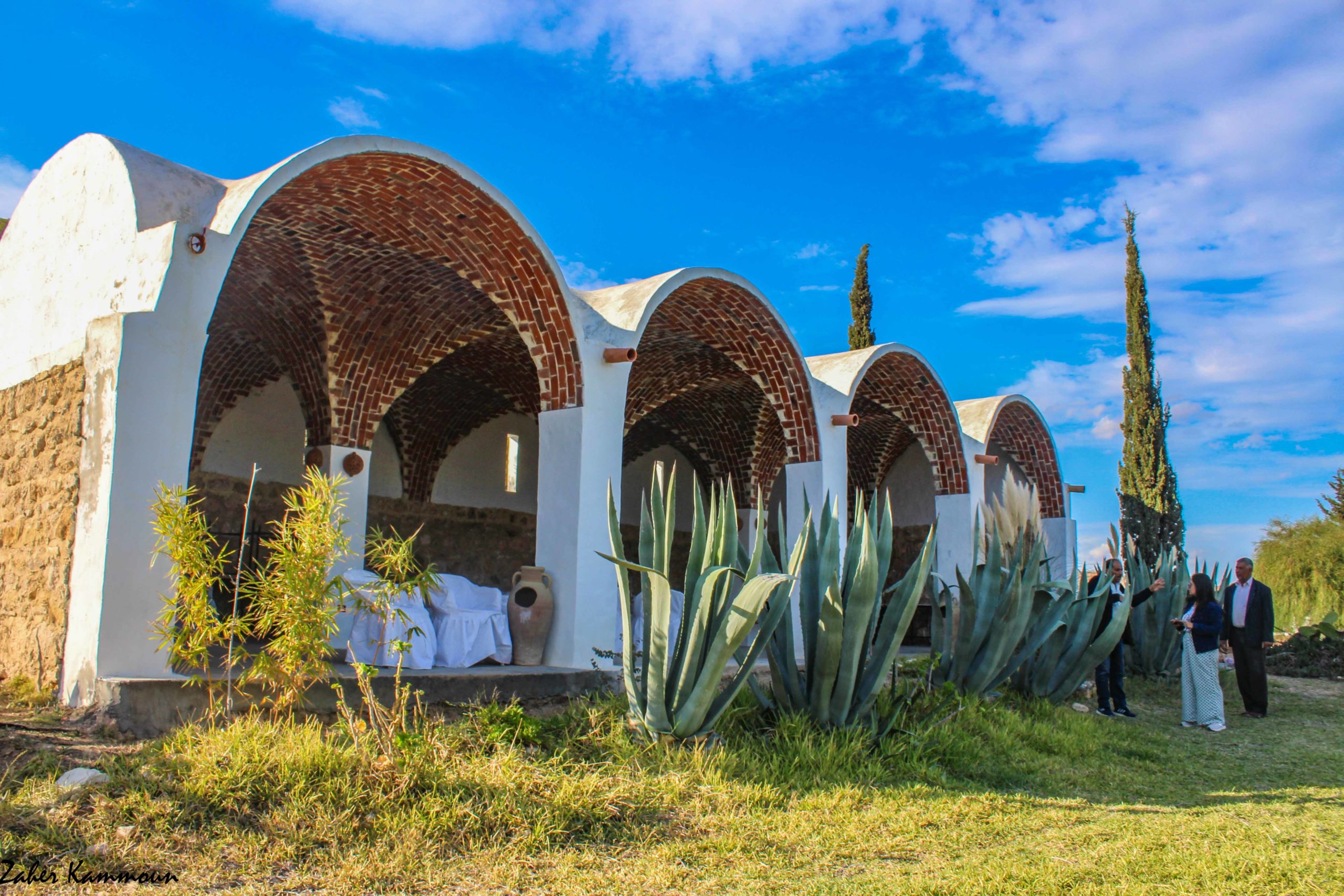 Zaher Kammoun » » Douar Sidi دوار سيدي
